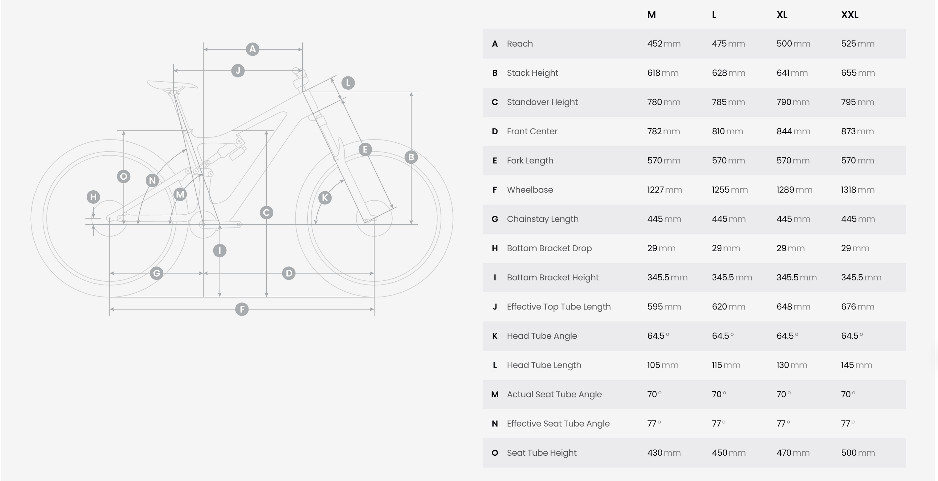 Experience the Future of eMTBs with Amflow – DIAN MOTORS